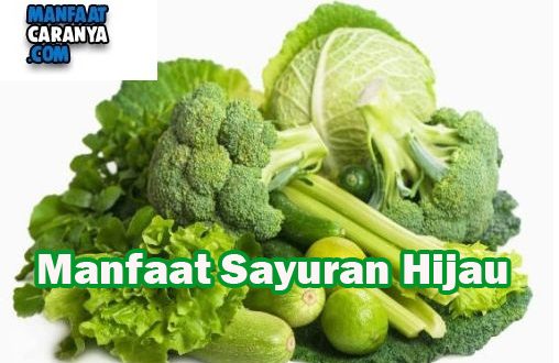 ️ Manfaat Konsumsi Sayuran Hijau Bagi Kesehatan Tubuh Setiap Hari ...
