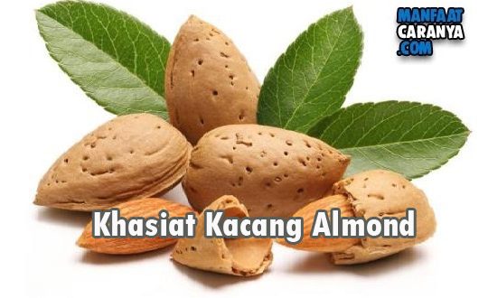 ️ Manfaat Almond Bagi Kesehatan Tubuh - MANFAATCARANYA.COM