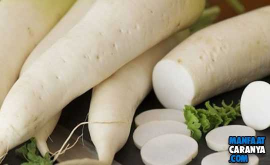 ️ 20 Manfaat Lobak Putih Untuk Kesehatan Sangat Baik Untuk Jantung ...