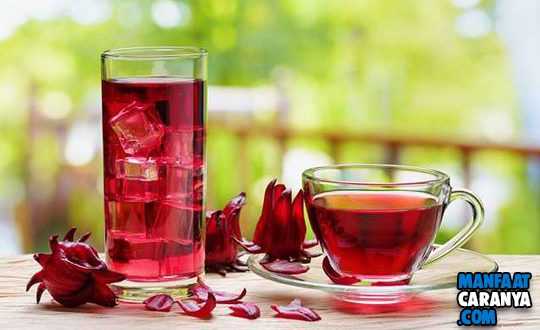 ️ 5 Manfaat Bunga Rosella Untuk Kesehatan - MANFAATCARANYA.COM