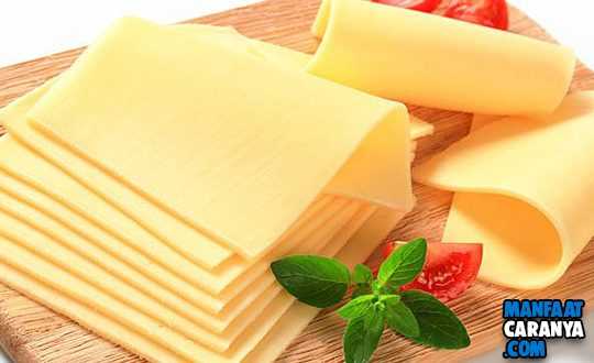 ️ 5 Manfaat Keju untuk Bayi di Masa Pertumbuhan - MANFAATCARANYA.COM