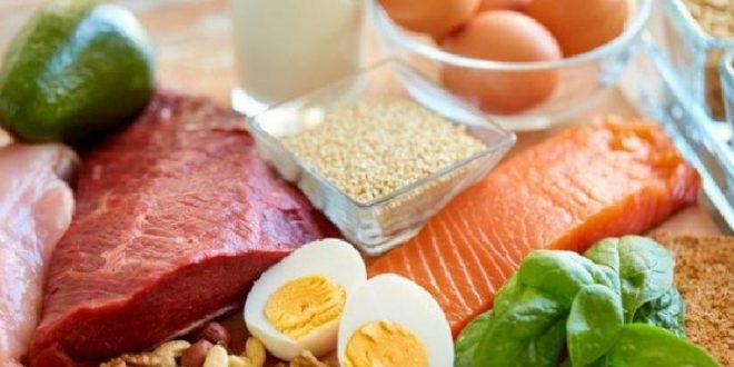 ️ 9 Manfaat Protein Bagi Tubuh, Penting! - MANFAATCARANYA.COM
